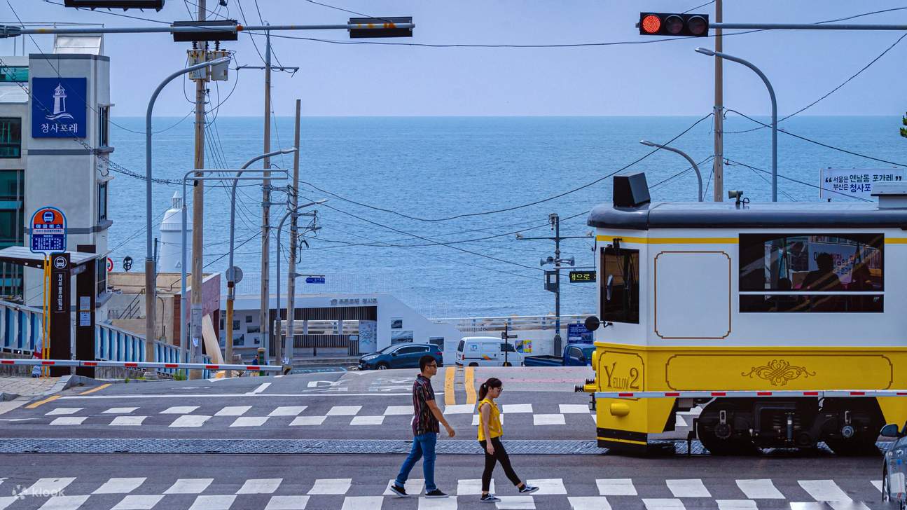 [Busan One Day Tour] Special places in Busan that you must introduce to ...